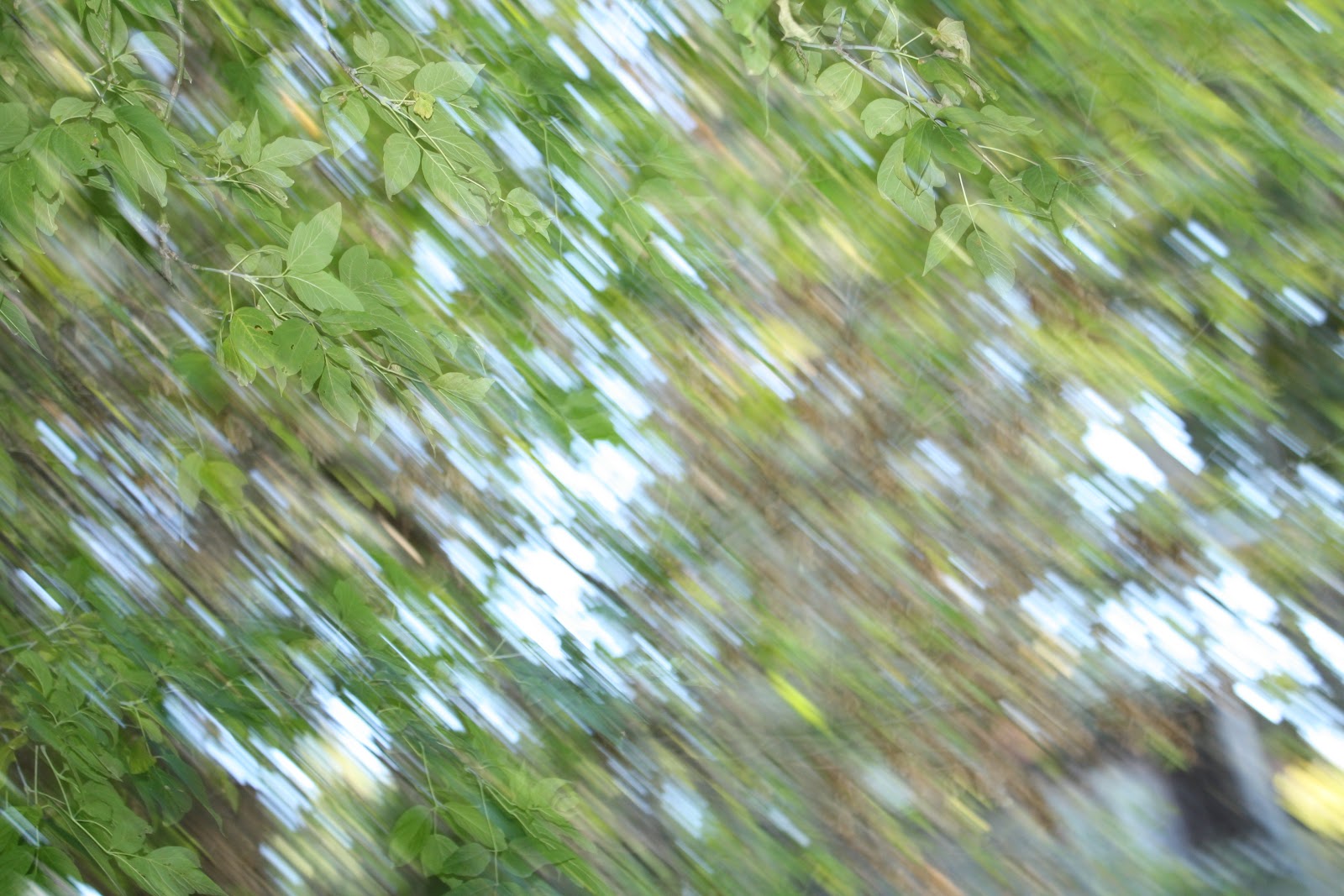 School of Design: Inspiration and Precedent Images