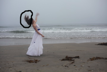 Mandy Rosen Photography