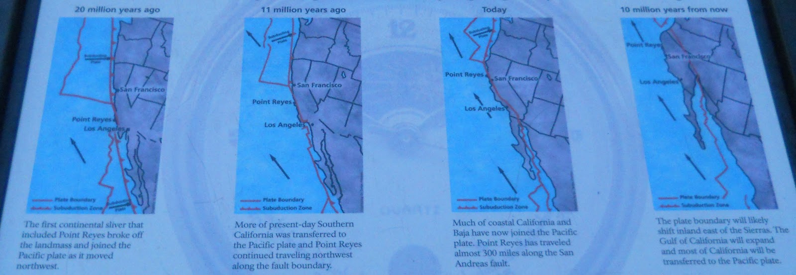 Piccola's Projects: CA (Point Reyes and Napa Valley)