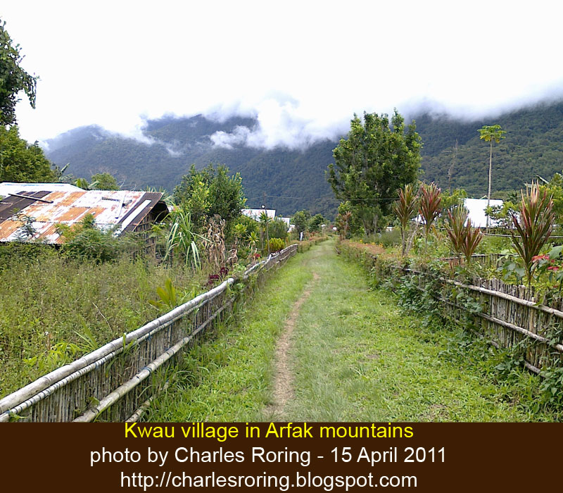 world attractions: Small wooden house of Arfak tribe in Kwau village of ...