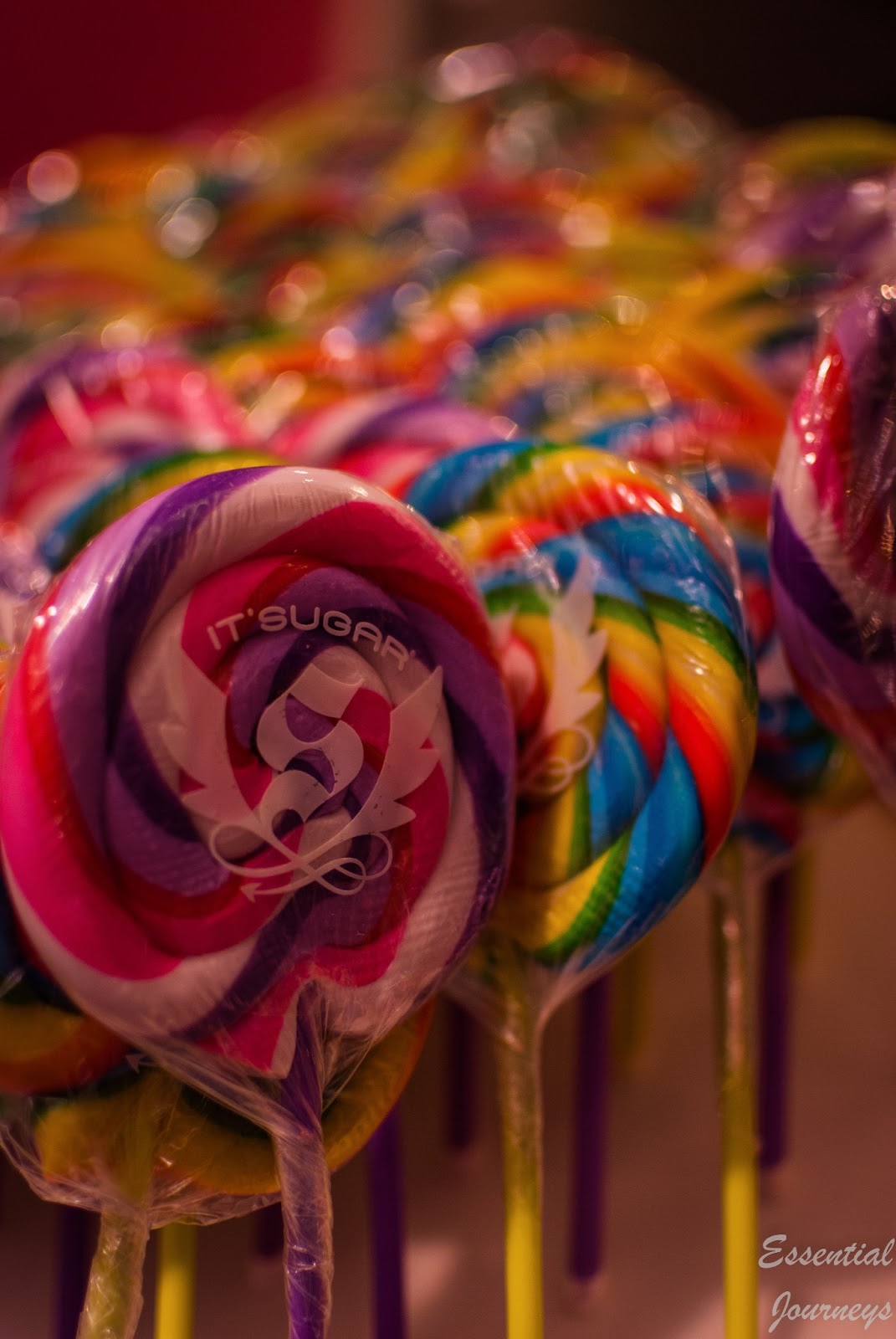 Essential Journeys Photos: Sharing Colors