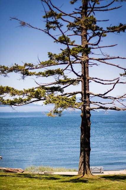 An Outing: Washington Park, Anacortes - Parks Academe