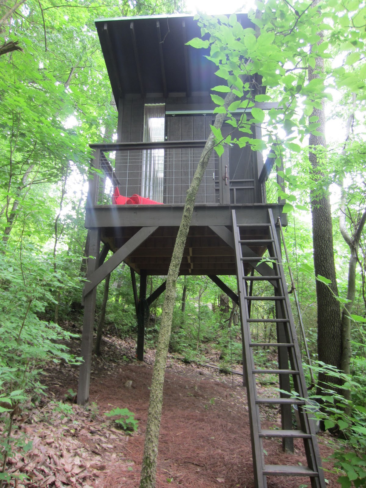 Stilts Tree Houses at Micheal Wilder blog
