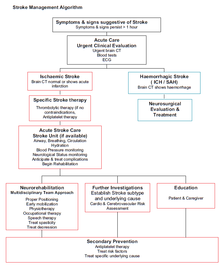 OurMedicalNotes: Stroke