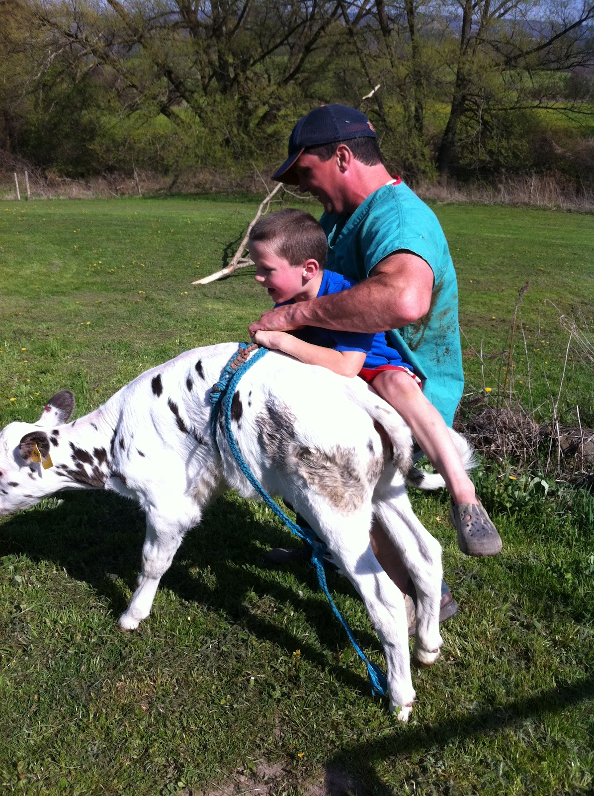 The Eric and Holly Frazee Family: Feeding Calves