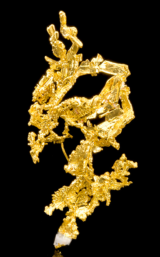 Guld | Rå Guld Nuggets i Stenen ~ Klima Naturali™