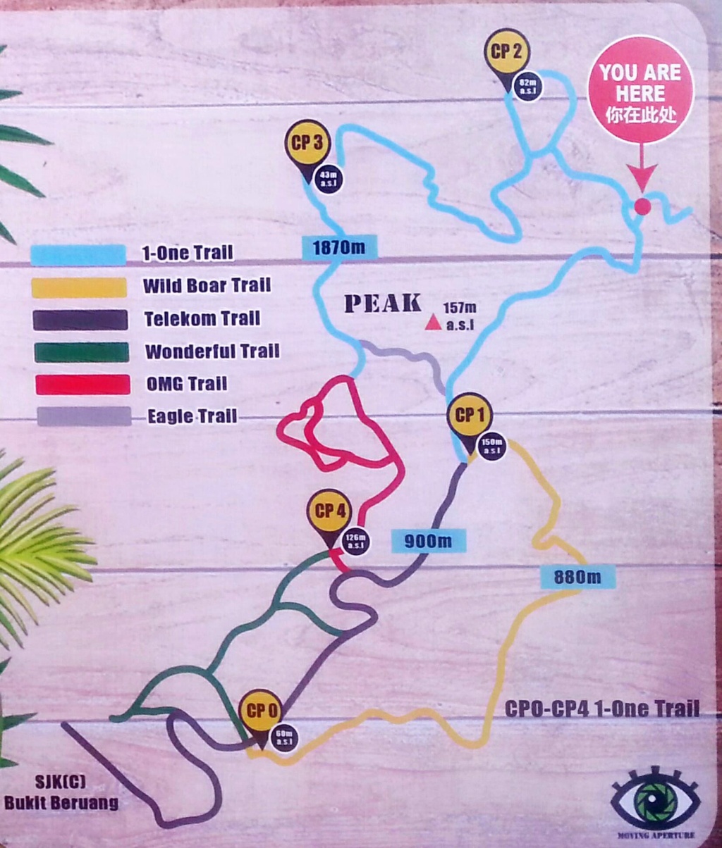 MCWK on Blogspot.com: Hiking through the Bukit Beruang trail