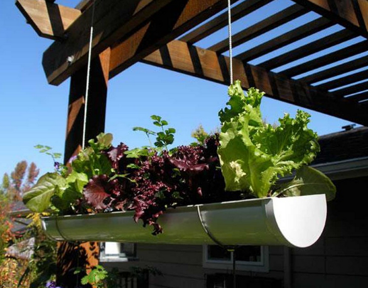 50 Kreasi Unik Pot Tanaman Hias di Taman - Rumahku Unik