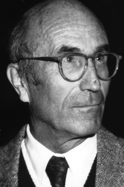 Ciberestética: Frase de Luhmann sobre sociedad y comunicación