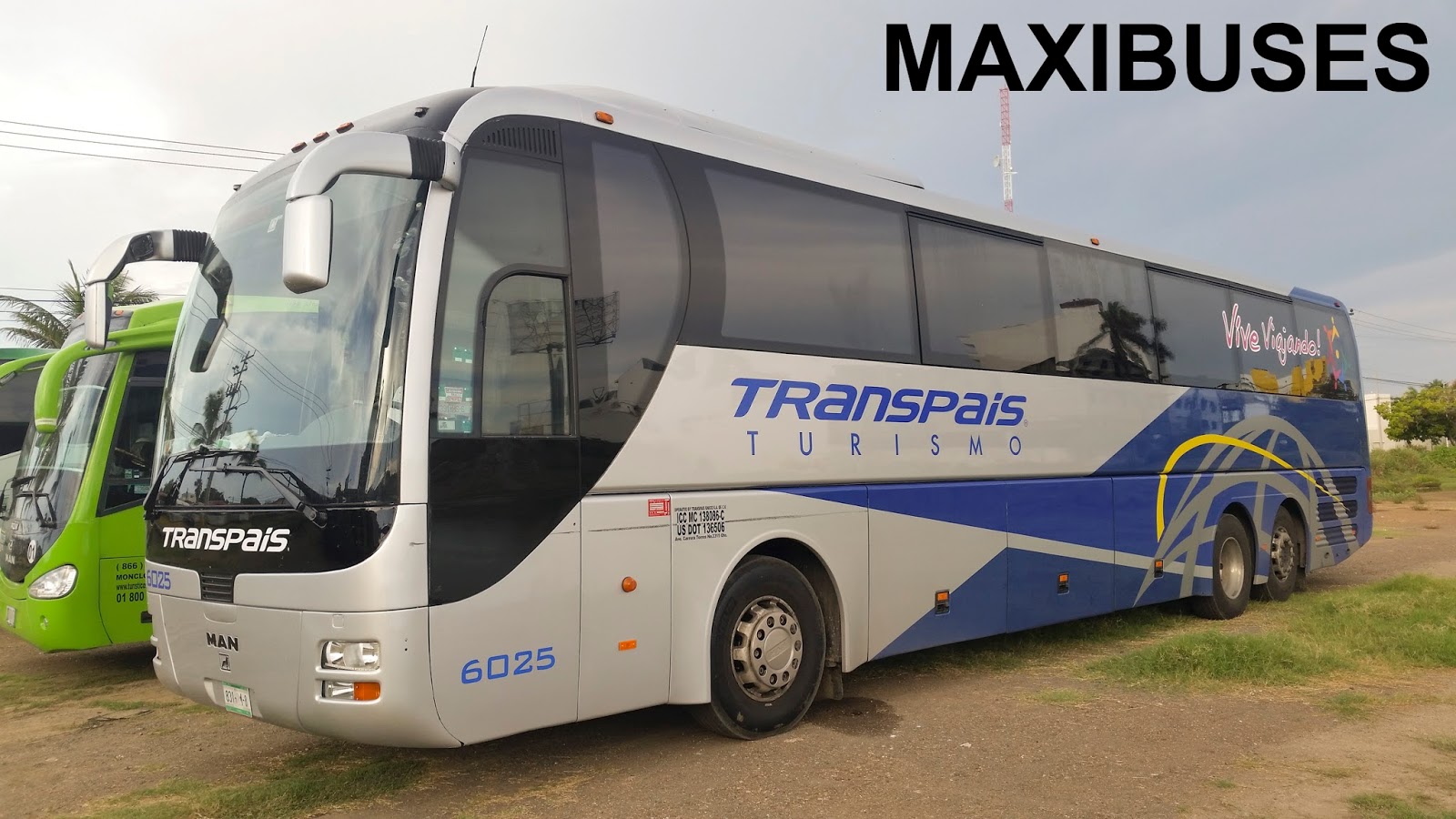MAXIBUSES: TRANSPAÍS TURISMO (TURISMO)