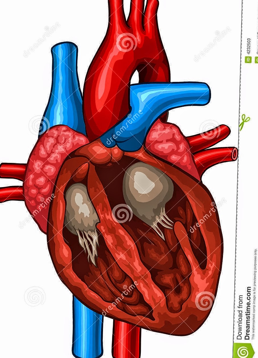 Fieggentrio: Je hart.