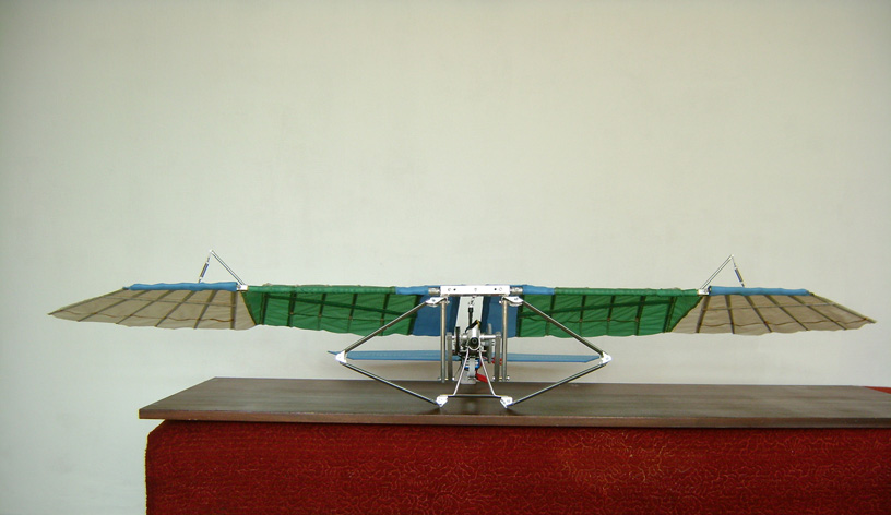 Flapping Wing: Ornithoid with passive articulated adaptive wing