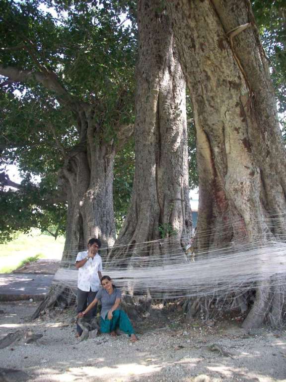 Vallam Caves - Theevanur (Kanchipuram, Villuppuram - Tamil Nadu) | My ...