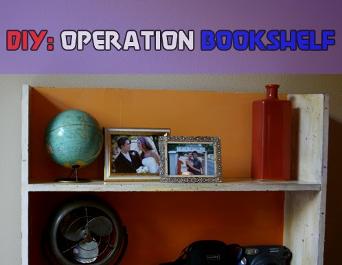 DIY- Operation Bookshelf | ERIKA LEE SEARS