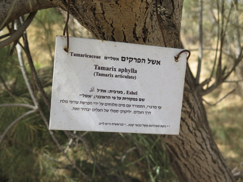 The Holyoaks in the Holy Land: Neot Kedumim, Biblical Reserve