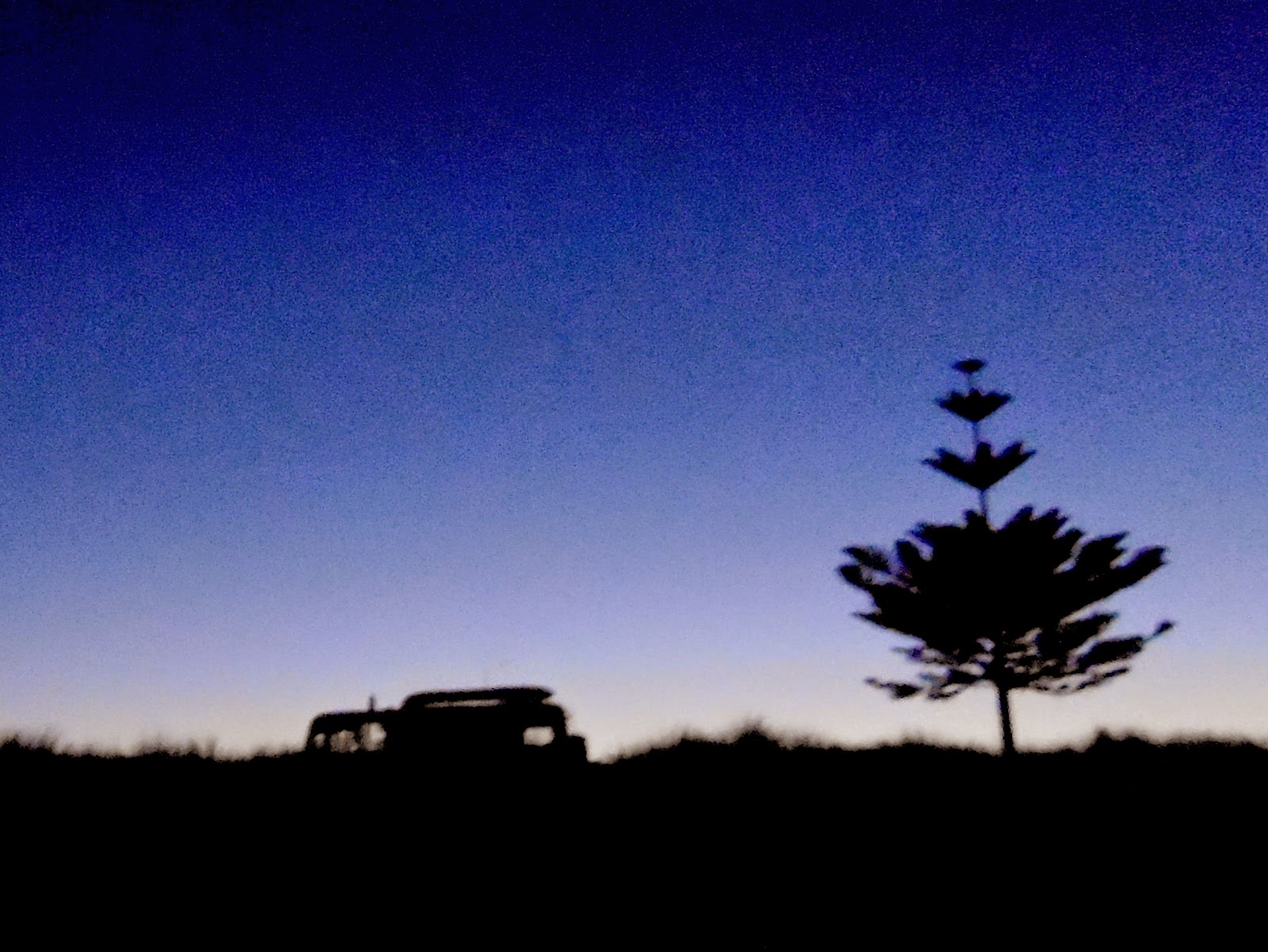 The Flying Tortoise: Wildboy Brando Yelavich Arrives At Tokerau Beach ...