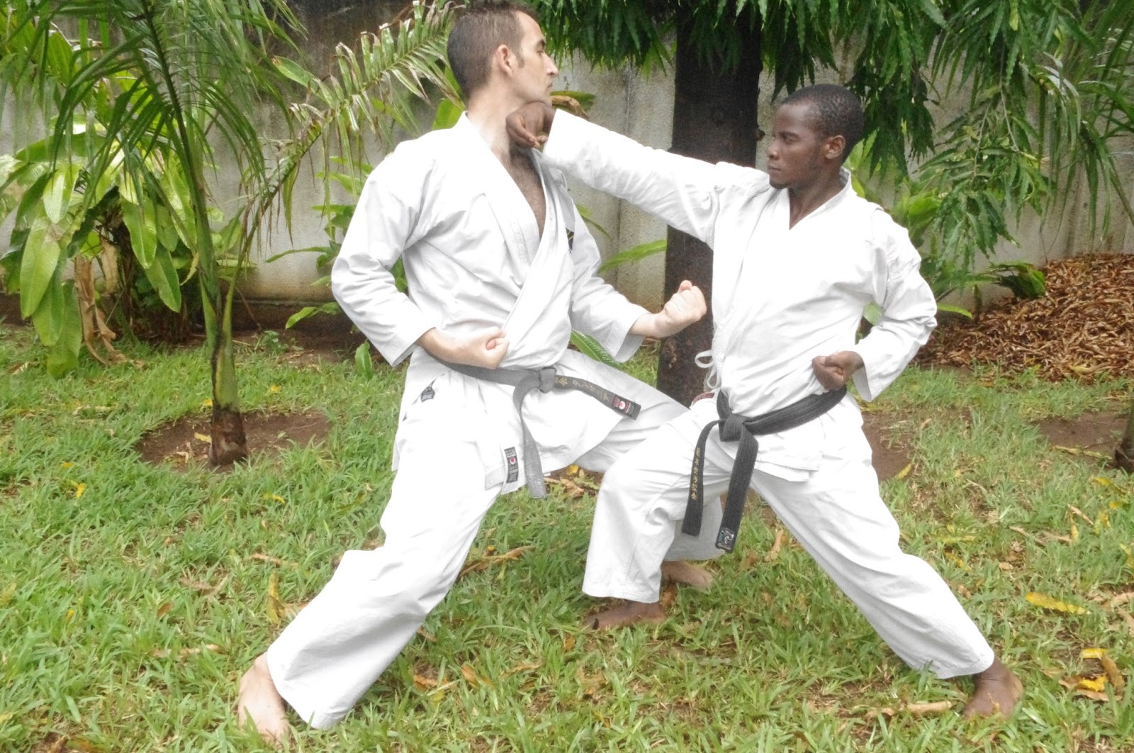 Karate Terminology - THE BLACK SAMURAI