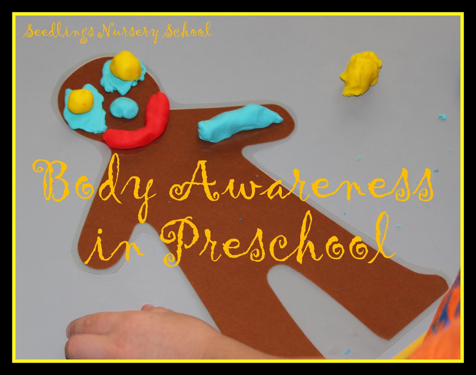 Seedlings Nursery School: Body Awareness in Preschool
