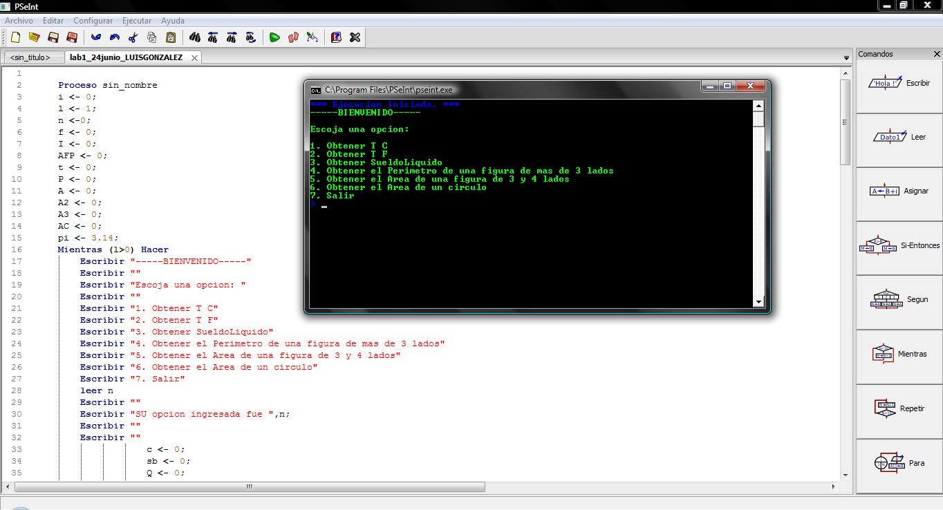 DigitaL ExperiencE: PSeInt (PLANTEAMIENTOS)