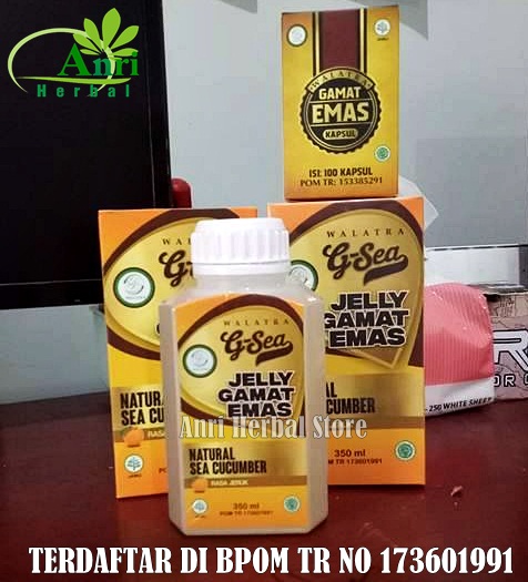 Jelly Gamat Walatra G Sea: Obat Radang Paru Paru Pada Anak (Pneumonia)