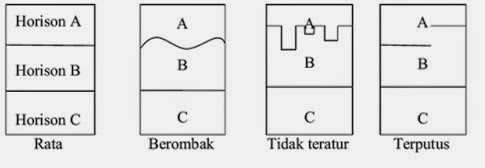 Horizon Tanah | GEOGRAFI TANAH