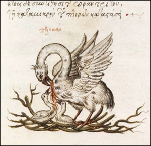 My Little Occult Shop: Birds in Alchemy Part 2