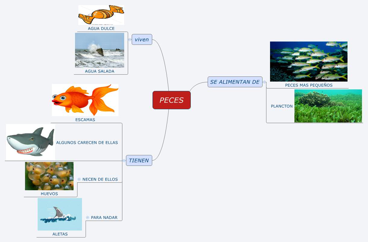 Trabajo cooperativo en el aula_TICAA_MYCC: MAPA MENTAL