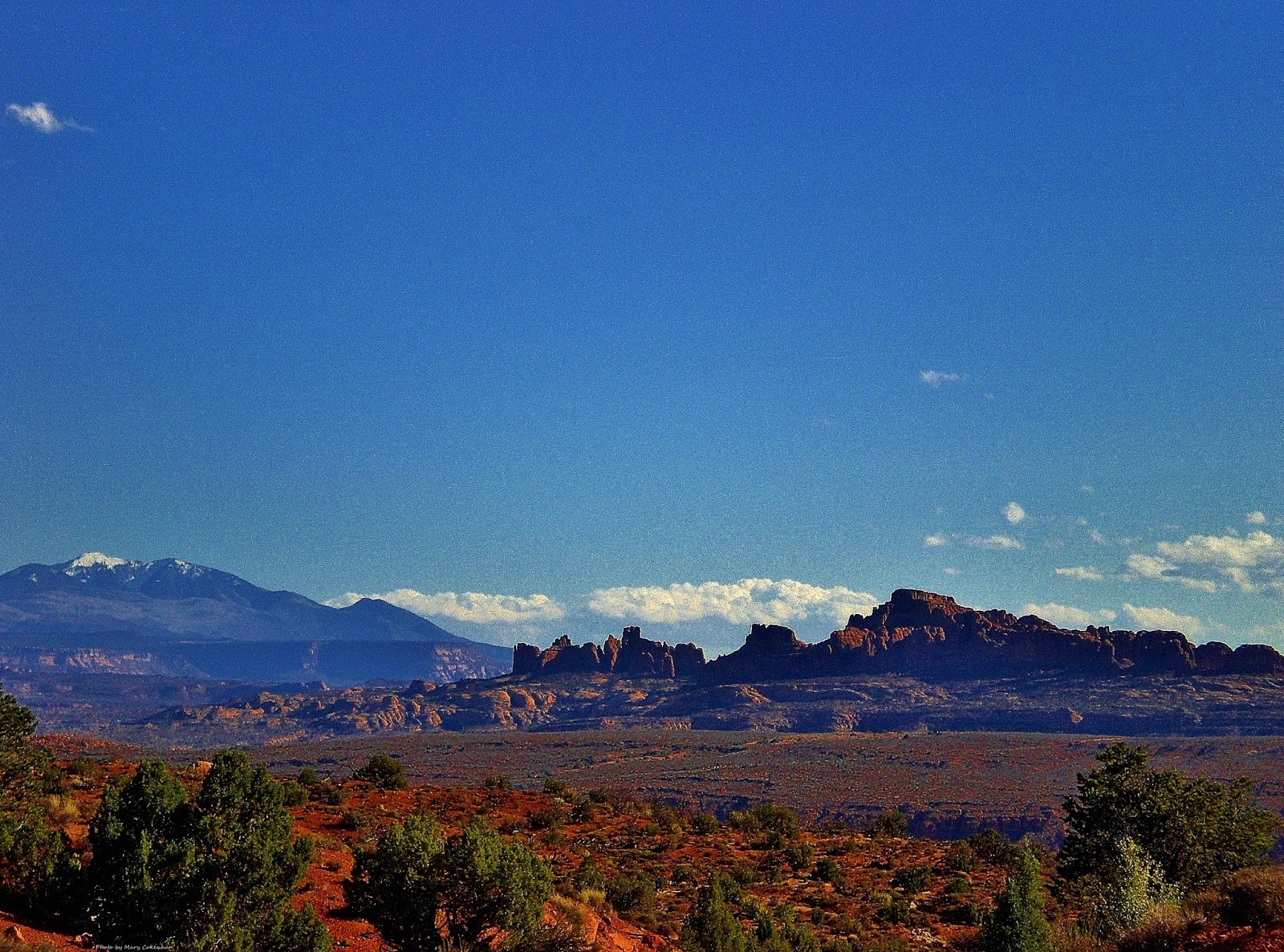 The Southwest Through Wide Brown Eyes: Salt, Fire, Penguins, Odds and ...