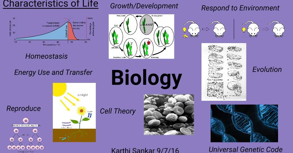 Mr. Orre Biology 2016-17 Karthi Sankar: What is Biology? Collage