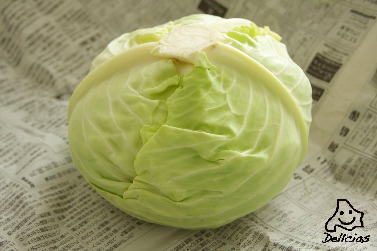 Delícias de Hokkaido: Repolho conservado na neve