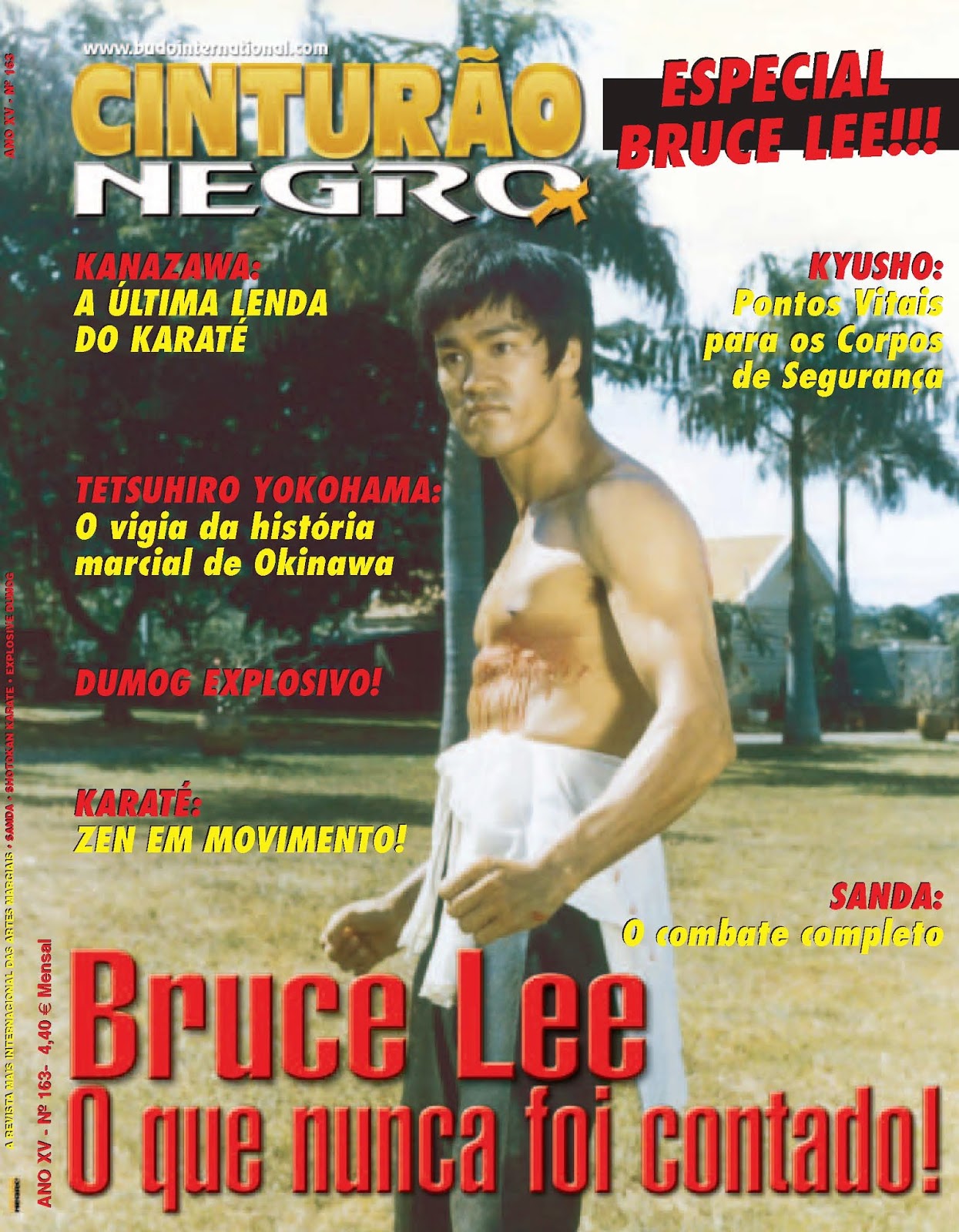 HOMENAJE A BRUCE LEE ~ Pedro Conde