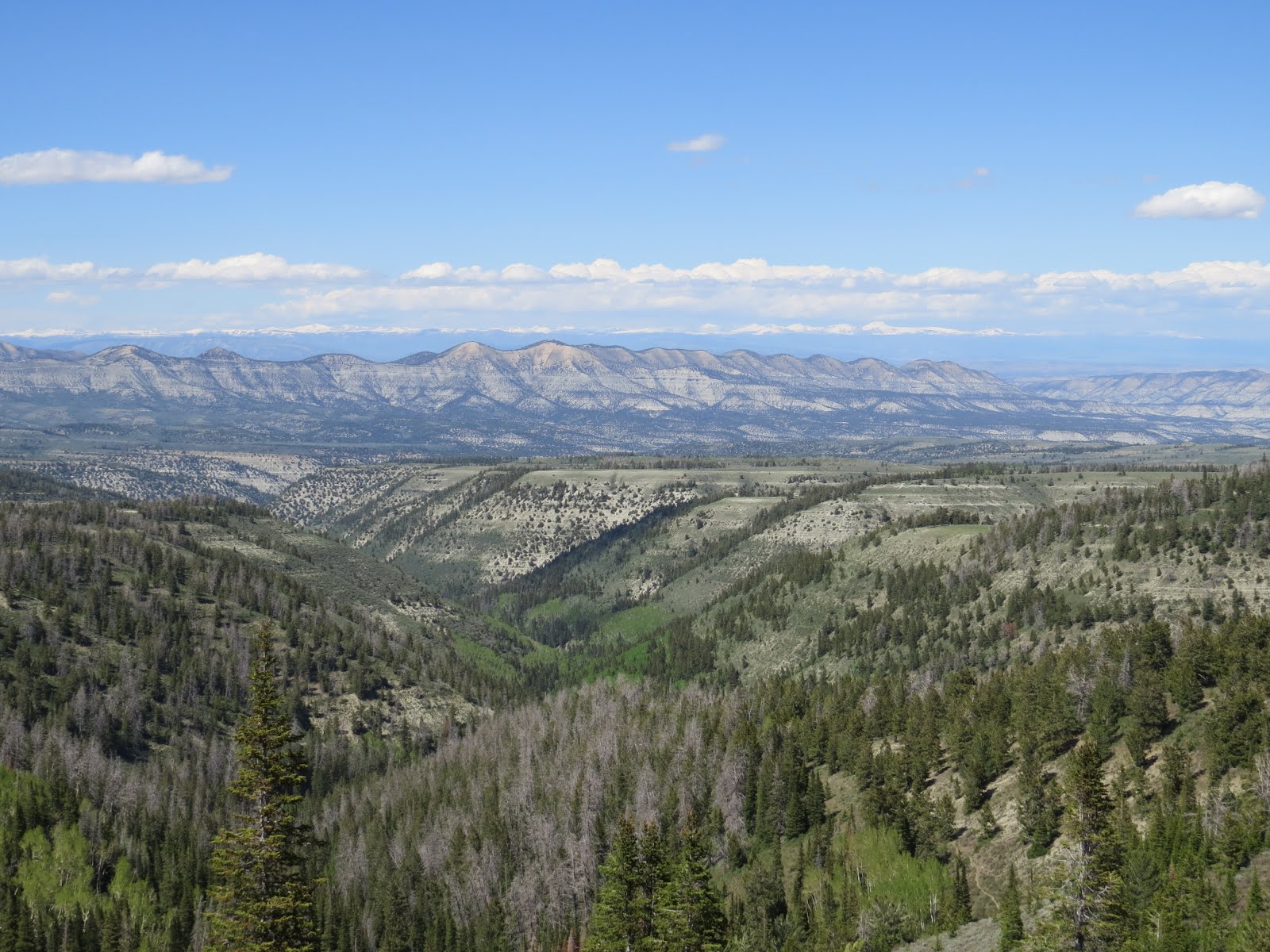 RMSO Bigfoot: Skinwalker Ranch & Bigfoot of Indian Canyon