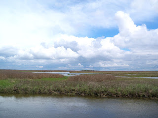 A View from the Beach: More Than Everything You Wanted to Know About ...