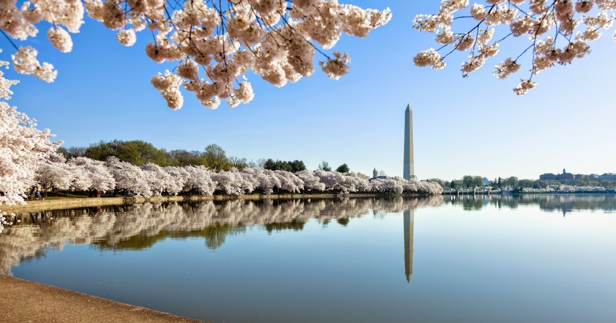 Auto Tops Direct: America's Best Spring Drives With the Top Down