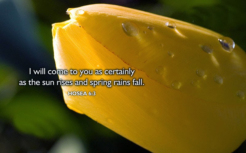 IMMANUEL GOD WITH US: I will come to you as certainly as the sun rises ...