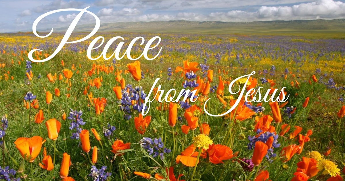 Fangirling For Jesus: Peace from Jesus