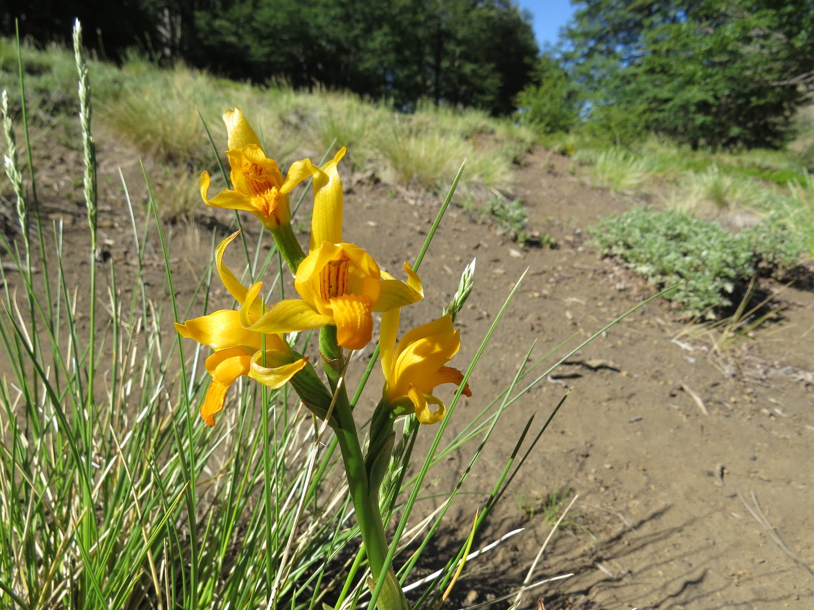 TURISMO CIENTÍFICO CHILE