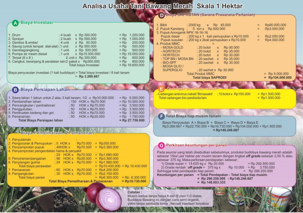 Analisis Usaha Tani Budidaya Bawang Merah - Bawang Bawangan
