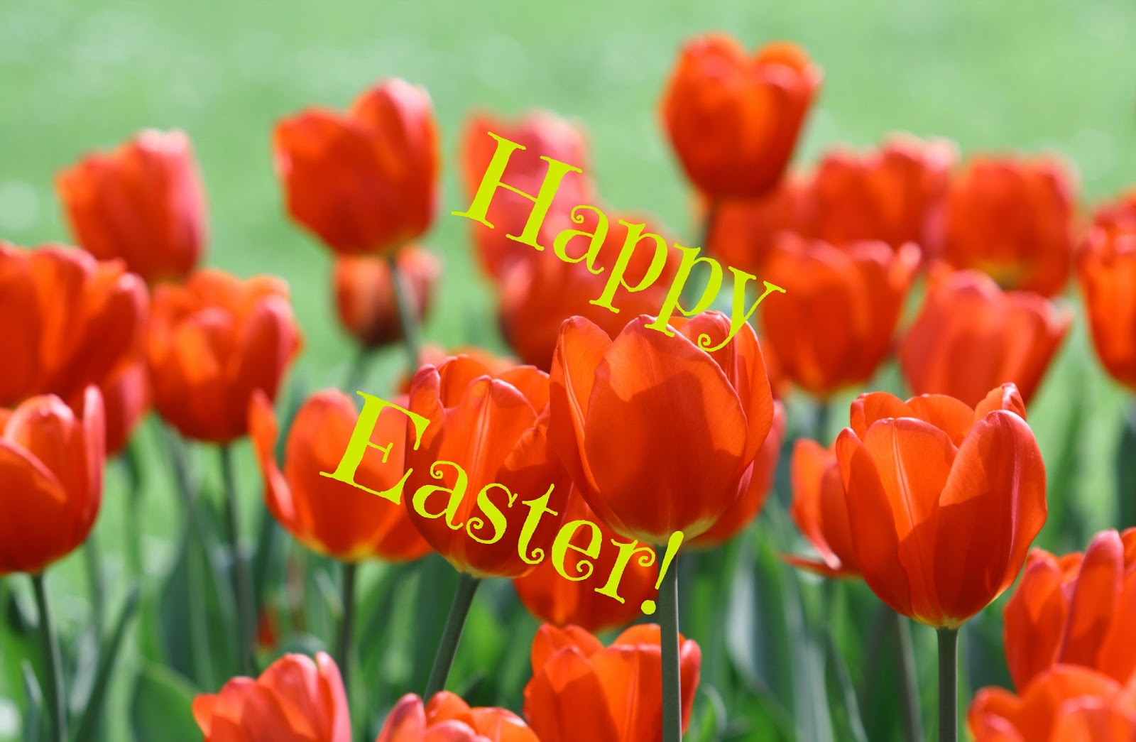 Broads of a Feather: Happy Easter! by Robin Janney