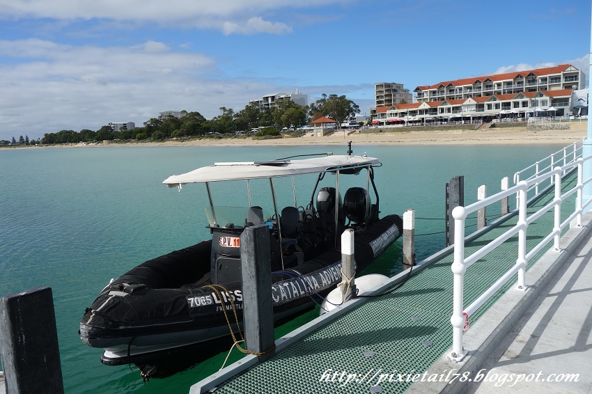 Steel Tree @ The Foreshore - Perth, Western Australia