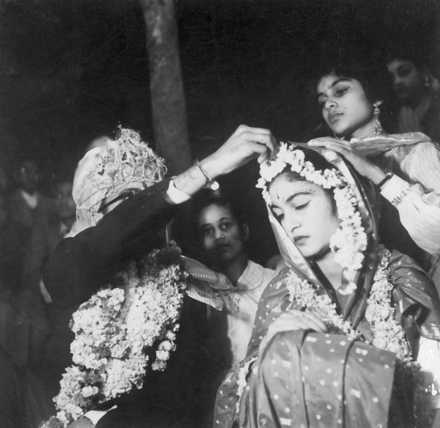 A Delhi Gardener's Blog