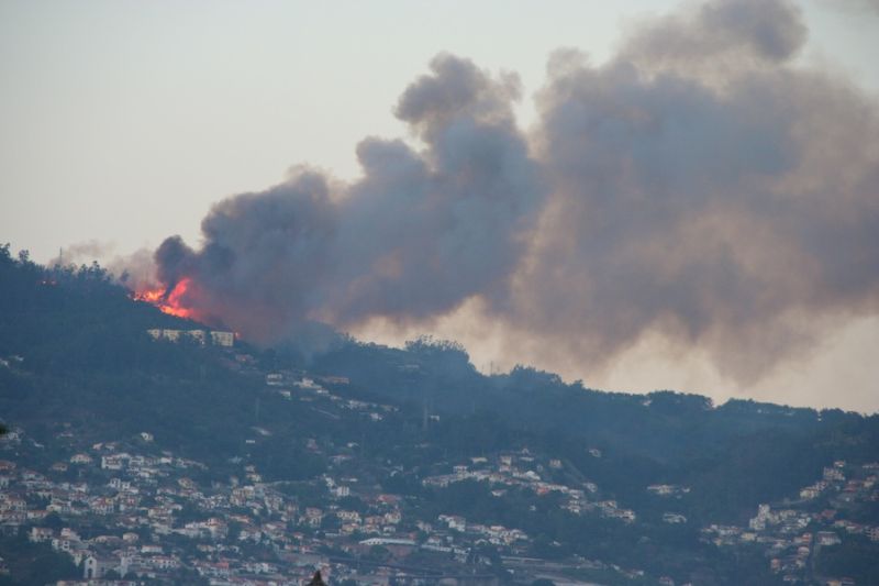 W u l k a n y Ś w i a t a B l o g: Pożar ogarnia portugalską Maderę