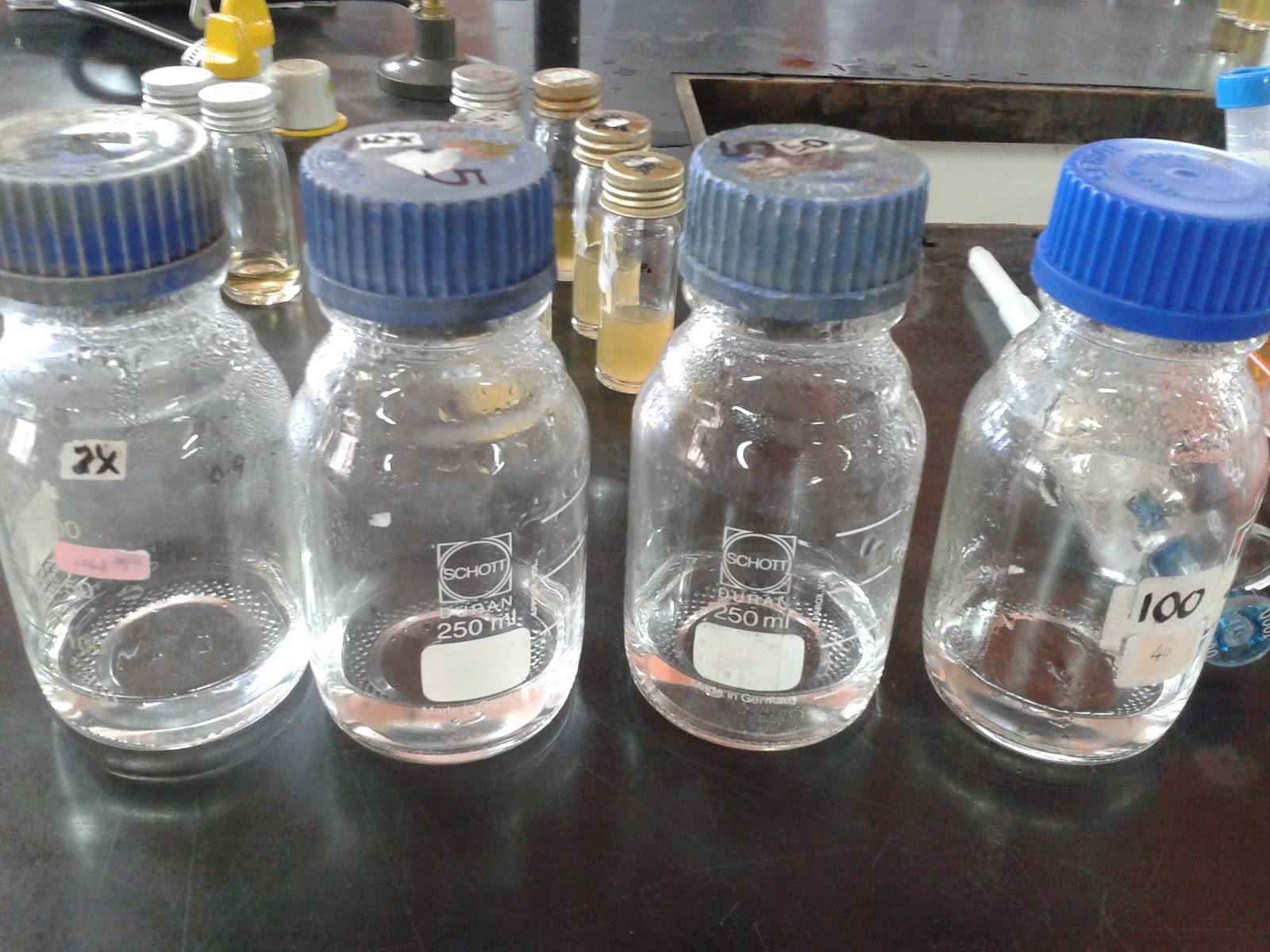 IBG 102 lab report: LAB 5 : DETERMINATION OF ANTIMICROBIAL EFFECTS OF ...