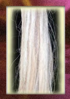 Philippines "The Beauty Within": Region 5- Bicol Region (part 2)