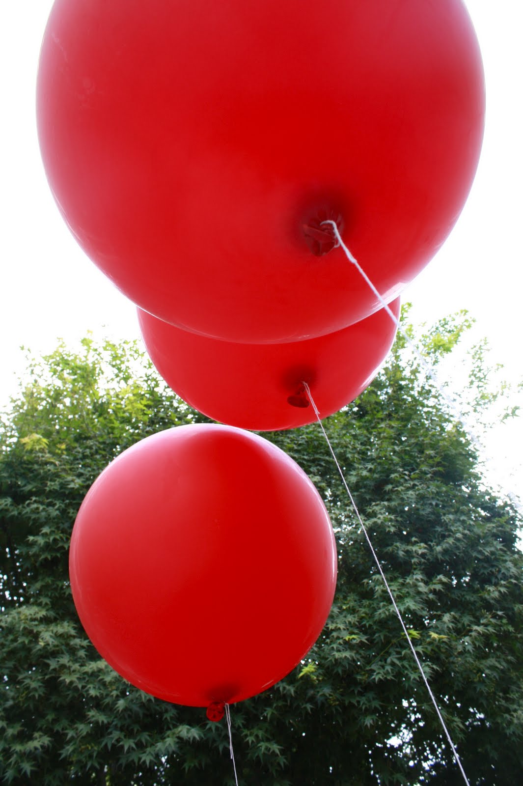Buby + Bleu: Red Balloon Party