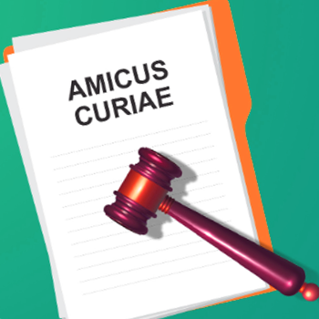 Apa Itu Amicus Curiae dan Contohnya
