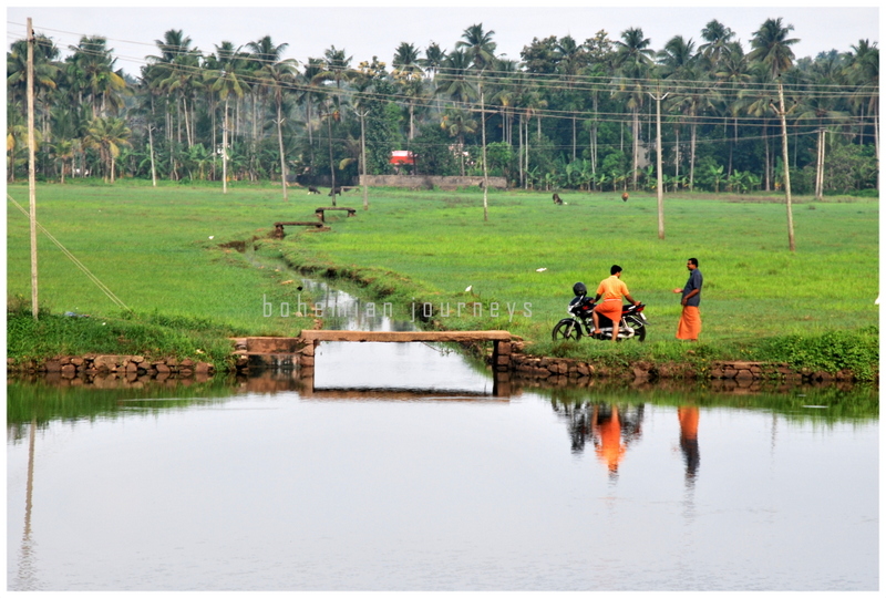Bohemian Journeys !: Avittathur Mahadeva Temple, Thrissur Dist, Kerala