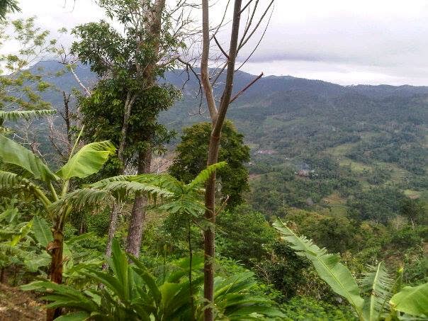 Teja Sukmanegara: Situs Gunung Nagara Sancang Garut (NYUKCRUK GALUR ...