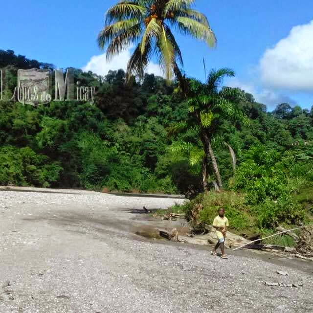 LÓPEZ DE MICAY PACÍFICO