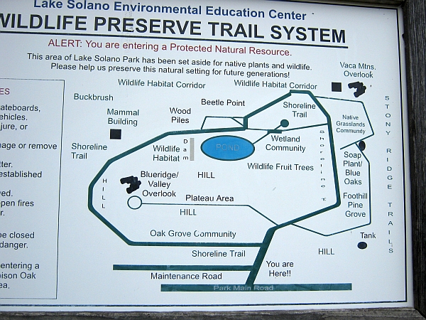 BRT Insights - WW Kayaking & Hiking: Lake Solano County Park hiking ...